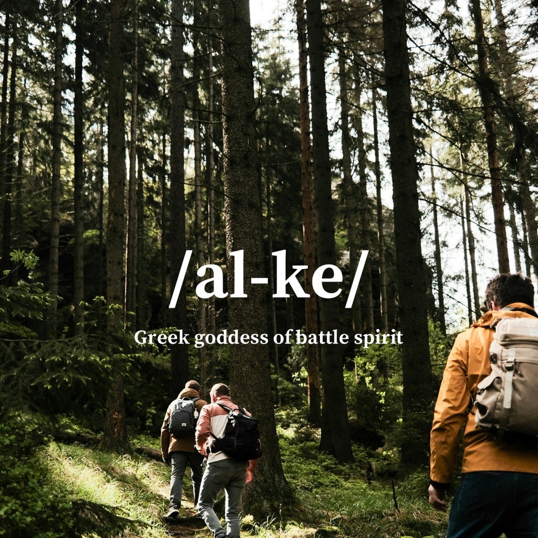 About Us – ALKE